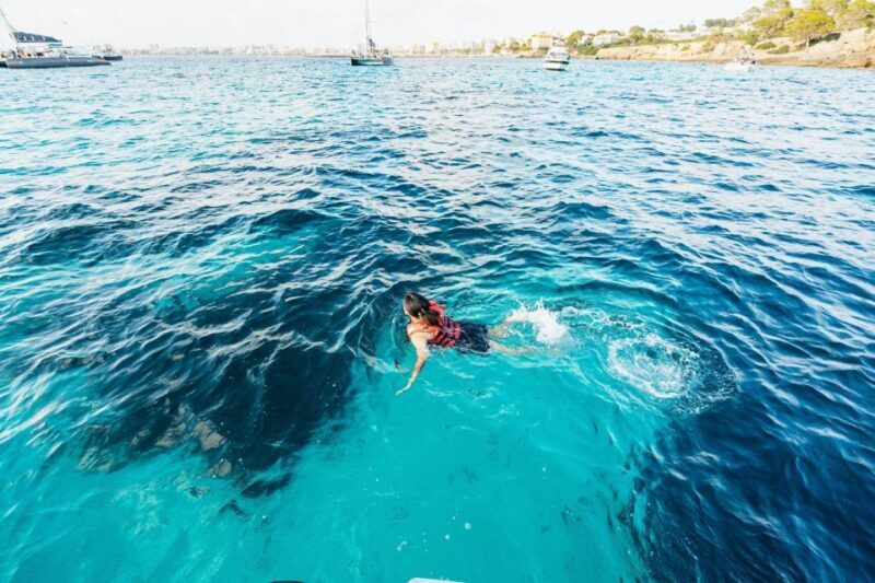 Palma Bay: Speedboat Discovery Tour - Who Will Love This Tour?
