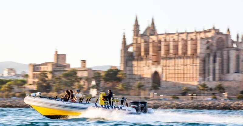 Palma Bay: Speedboat Discovery Tour - Frequently Asked Questions