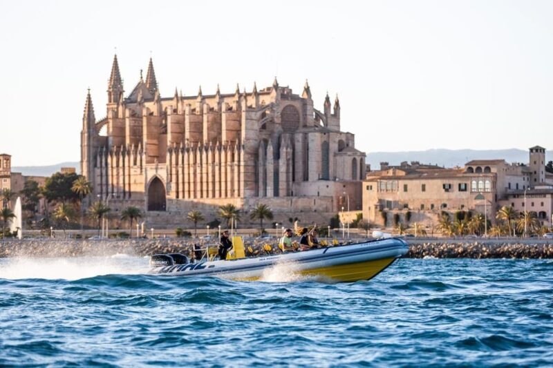 Palma Bay: Speedboat Discovery Tour - Final Verdict