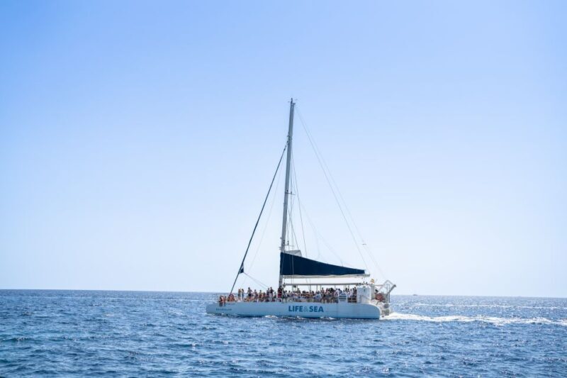 Palma: Catamaran Cruise with Swimming and Snorkelling - Real Traveler Feedback