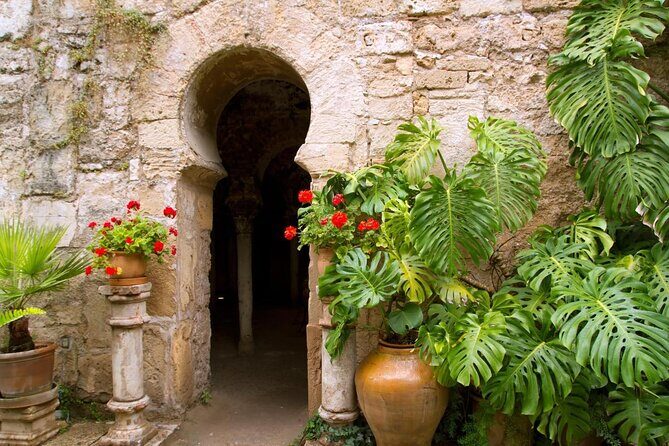 Palma Cathedral & Surroundings PRIVATE TOUR with Ticket Included - Key Points