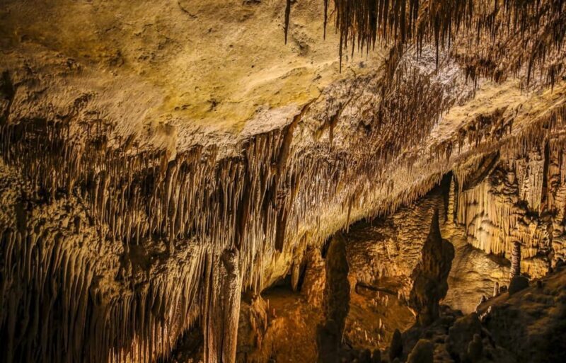 Palma: Caves of Drach Entrance, Music Concert, and Boat Trip - What Travelers Can Expect