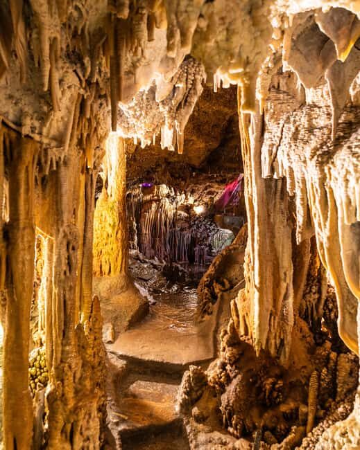 Palma: Caves of Genova Ticket & Digital Audio Guide - Who Will Love This?