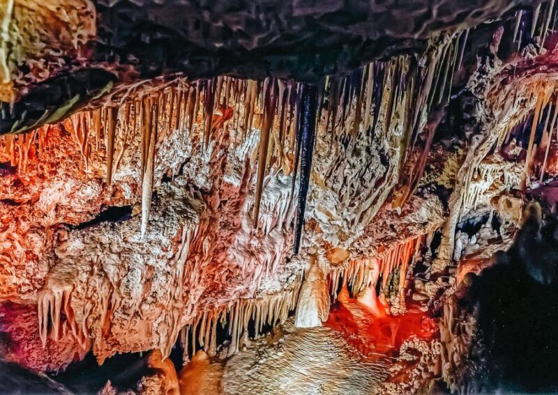 Palma: Caves of Genova Ticket & Digital Informational Video - Accessibility and Practicalities
