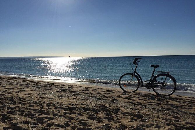 Palma de Mallorca 3-Hour Highlights and Tapas Tasting Bike Tour - Practical Considerations