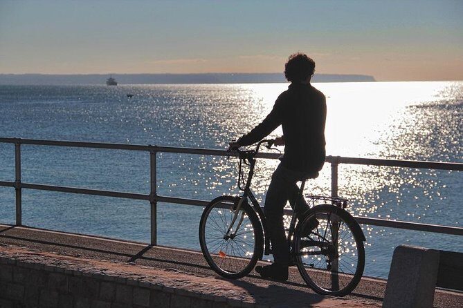 Palma de Mallorca 3-Hour Highlights and Tapas Tasting Bike Tour - Who Should Choose This Tour?