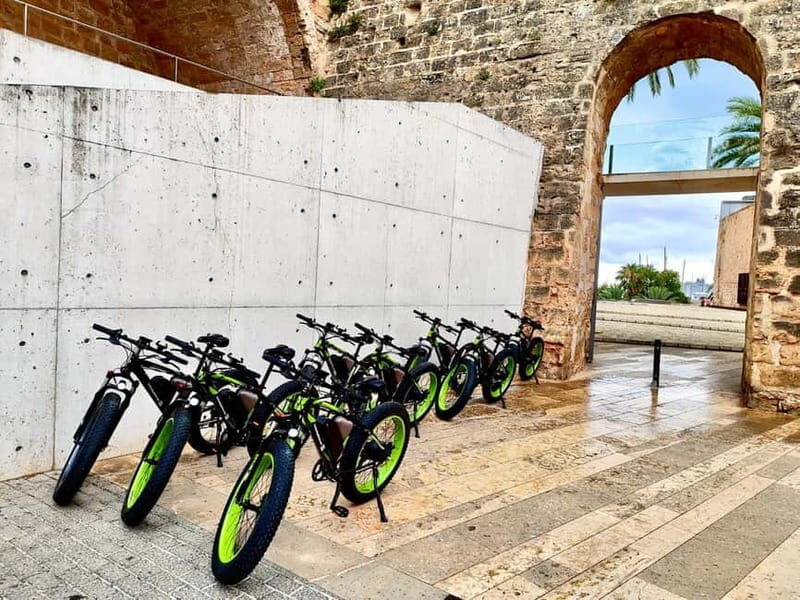 Palma de Mallorca: Exclusive Fat Tire e-Bike Rental - The Value of This Tour