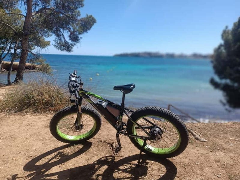 Palma de Mallorca: Exclusive Fat Tire e-Bike Rental - Who Should Consider This Experience?