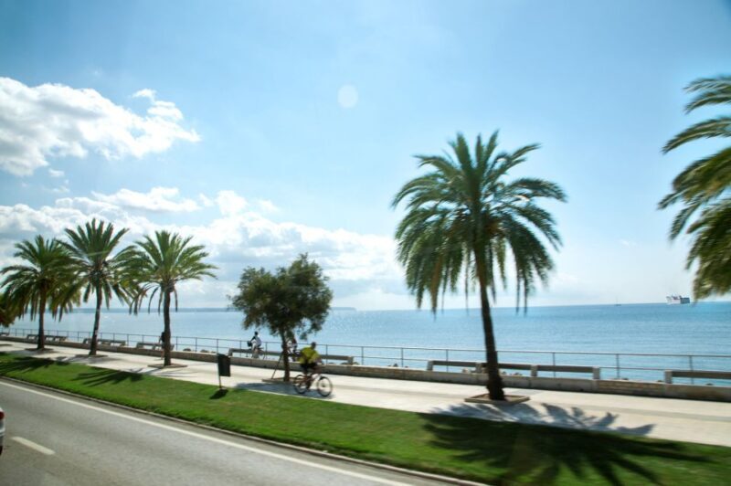 Palma de Mallorca: Full-Day Tour with Departure Options - What to Expect from Your Day in Palma de Mallorca