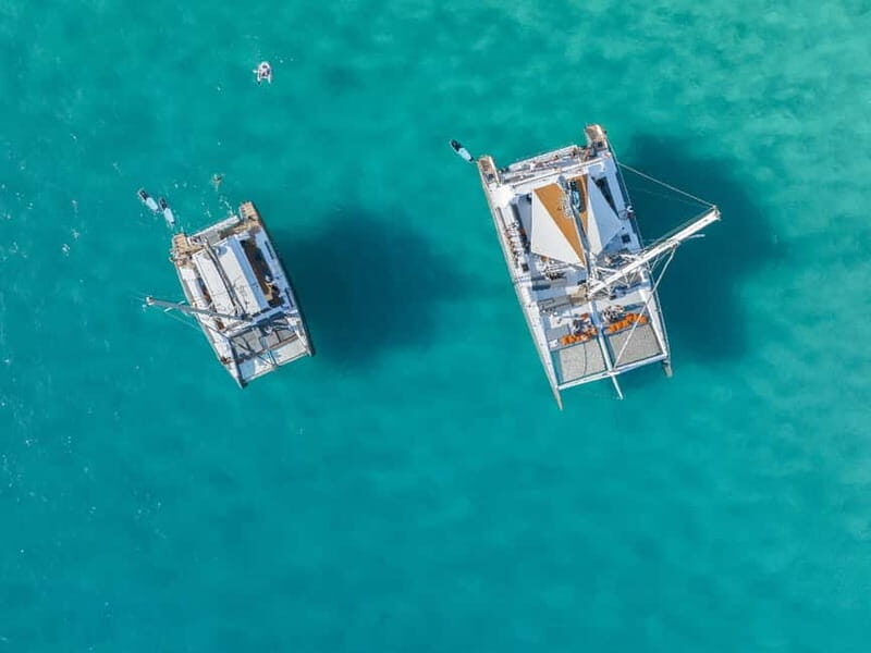 Palma de Mallorca: Half-Day Catamaran Tour with Buffet Meal - The Itinerary: What to Expect from Start to Finish