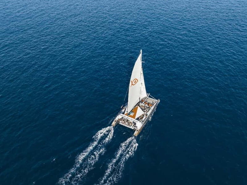 Palma de Mallorca: Half-Day Catamaran Tour with Buffet Meal - Practical Tips for Travelers