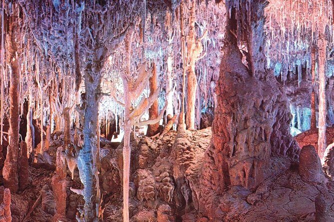 Palma de Mallorca Half-Day to Caves of Hams, Blue Cave and film - Final Thoughts