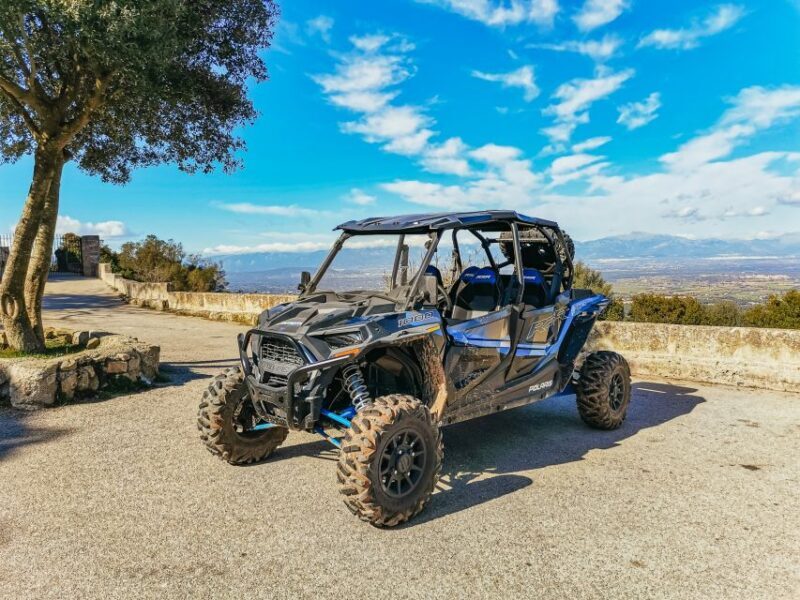 Palma de Mallorca: Off/On Road Buggy Tour with 2 or 4 Seater - The Value of the Experience