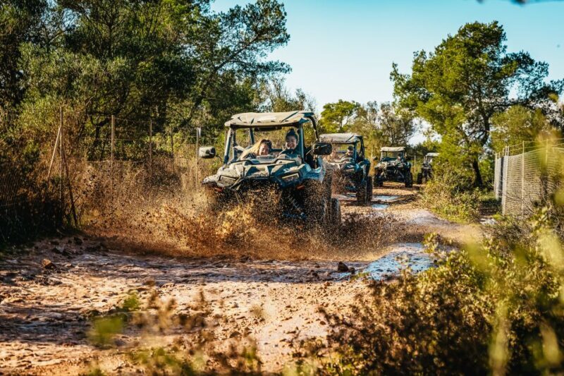Palma de Mallorca: Off/On Road Buggy Tour with 2 or 4 Seater - What to Expect in Terms of Comfort and Safety