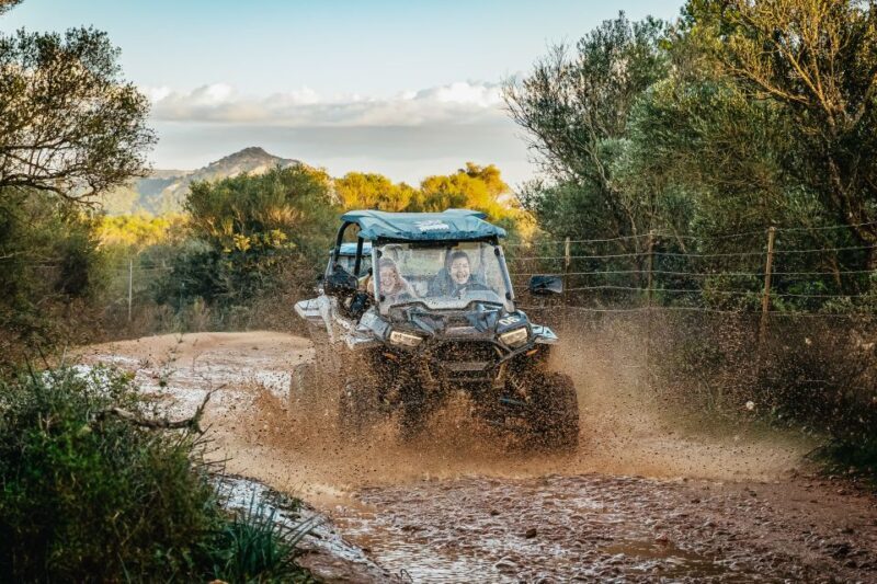 Palma de Mallorca: Off/On Road Buggy Tour with 2 or 4 Seater - Authentic and Authentic Experiences