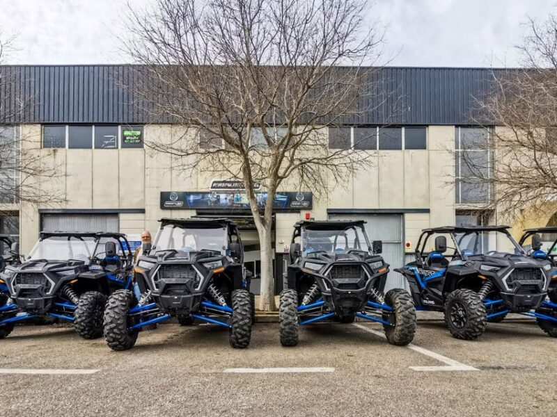 Palma de Mallorca: Off/On Road Buggy Tour with 2 or 4 Seater - Who Should Consider This Activity?