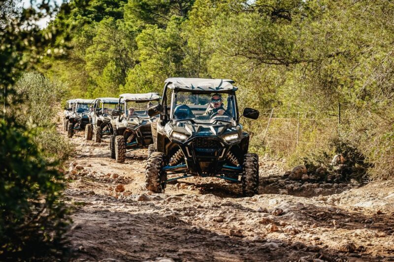 Palma de Mallorca: Off/On Road Buggy Tour with 2 or 4 Seater - FAQs