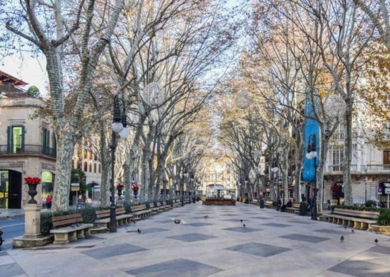 Palma de Mallorca: Old Town Guided Tour & Cathedral Visit - Practical Details and Value
