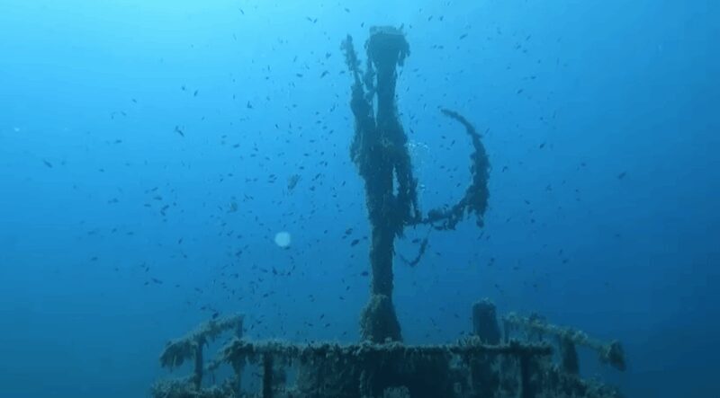 Palma de Mallorca: PADI Open Water Diver Course - Authenticity and Authentic Experience
