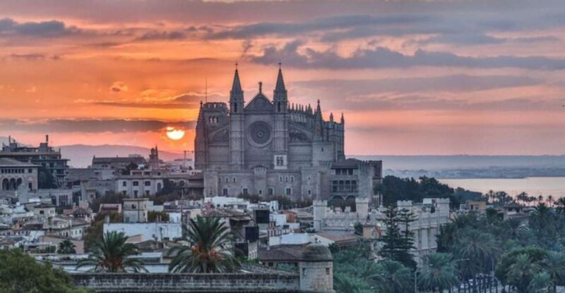 Palma de Mallorca: Private custom tour with a local guide - An In-Depth Look at the Private Palma Tour