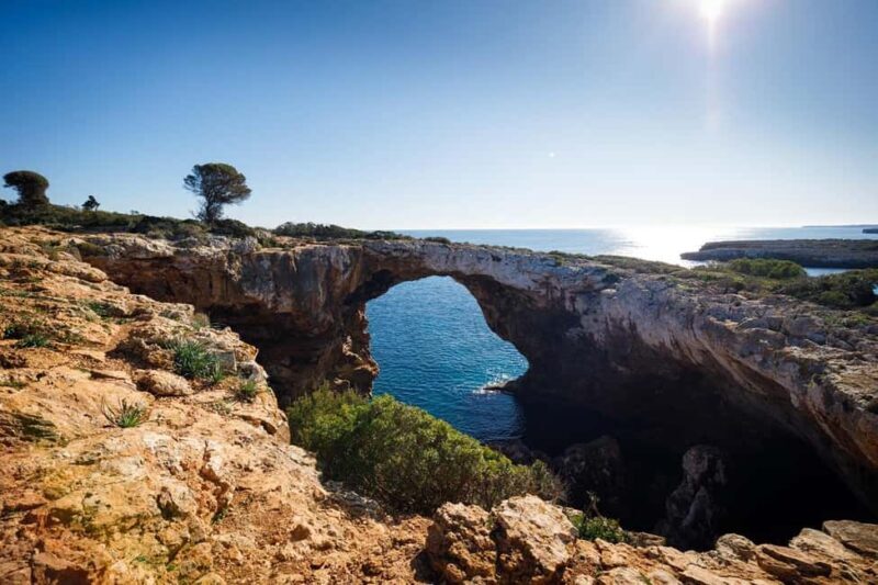 Palma de Mallorca: Private Drach Caves and East Coast Tour - The Drach Caves: A Natural Underground Spectacle