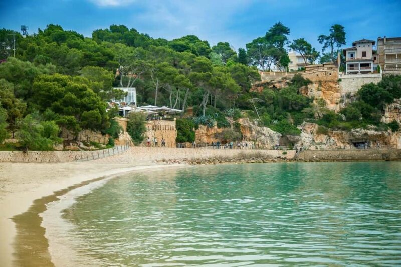 Palma de Mallorca: Private Drach Caves and East Coast Tour - Practical Details and Value