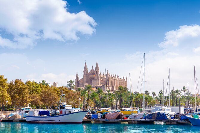 Palma de Mallorca Sightseeing Day Tour - An Introduction to the Tour Experience
