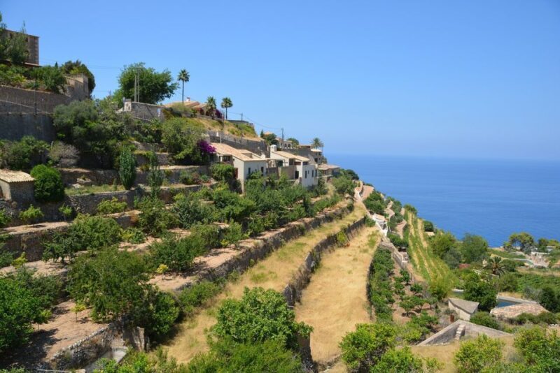 Palma de Mallorca: Son Juliana Wine Experience and Tasting - Key Points