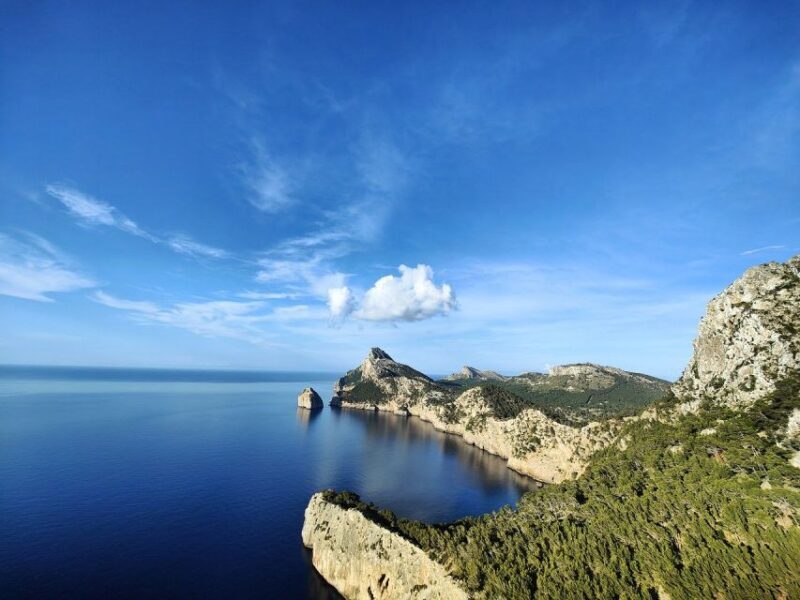 Palma de Mallorca: Son Juliana Wine Experience and Tasting - Why This Tour Works Well for Different Travelers