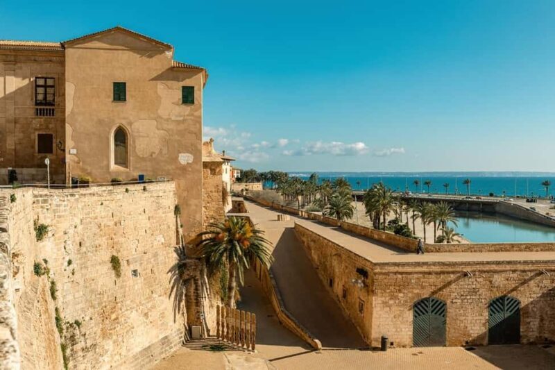 Palma de Mallorca: Walking Tour and Cathedral with Pastry - The Sum Up: Is It Worth Your Time and Money?