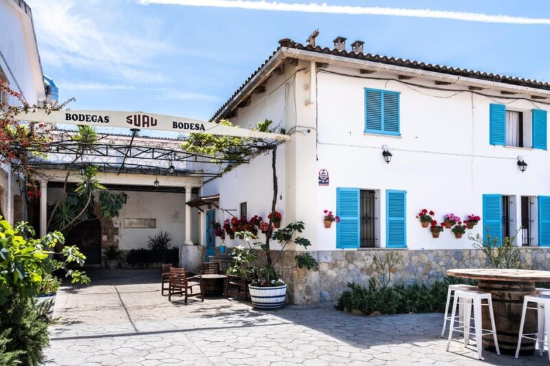Palma: Distillery Tour with 3 Spirits and Tapas Tasting - Who Should Consider This?