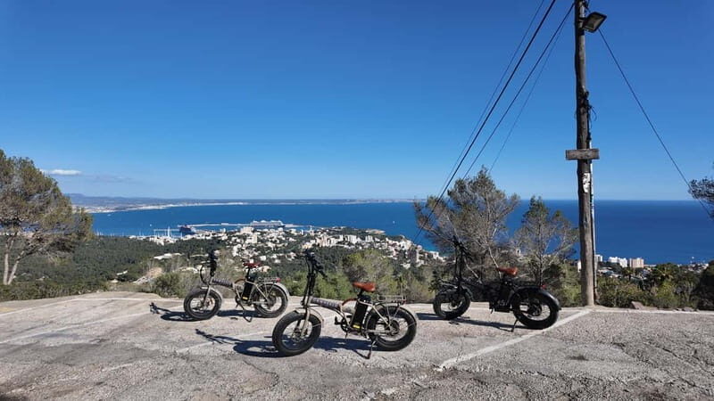 Palma: Electric Mountain Adventure: Ride Higher, Go Farther! - Who Will Love This Tour?
