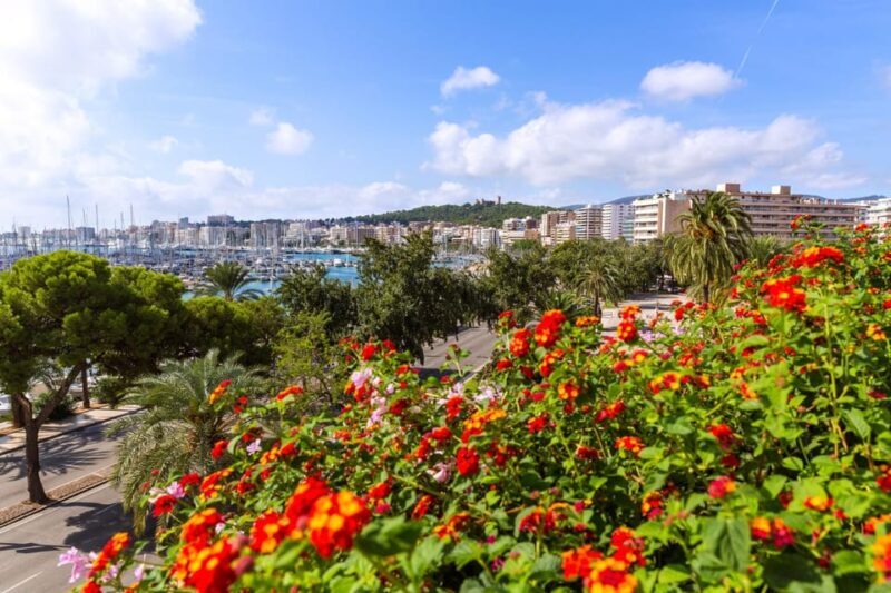Palma: Express Walk with a Local in 60 minutes - The Value of a 60-Minute Guided Walk