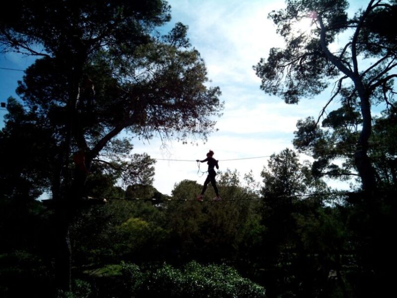 Palma: Family or Sports Course Adventure at Forestal Park - Key Points