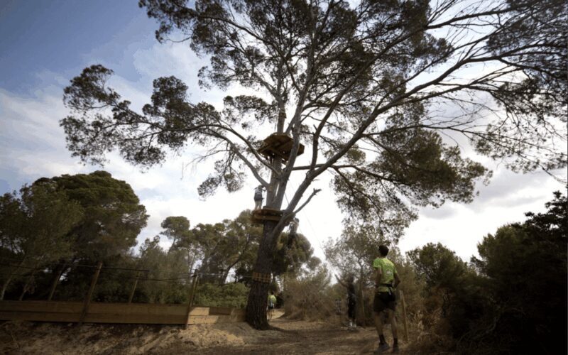 Palma: Family or Sports Course Adventure at Forestal Park - Final Thoughts: Who Will Love Forestal Park Mallorca?