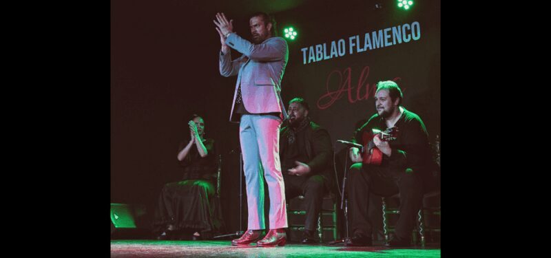 Palma: Flamenco Show at Tablao Flamenco Alma with Drink - Who Will Enjoy This Tour?