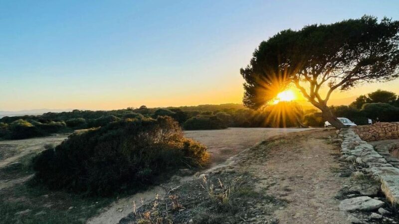 Palma: "FunForTwo", creative relationship game and city walk - The Value of the Experience