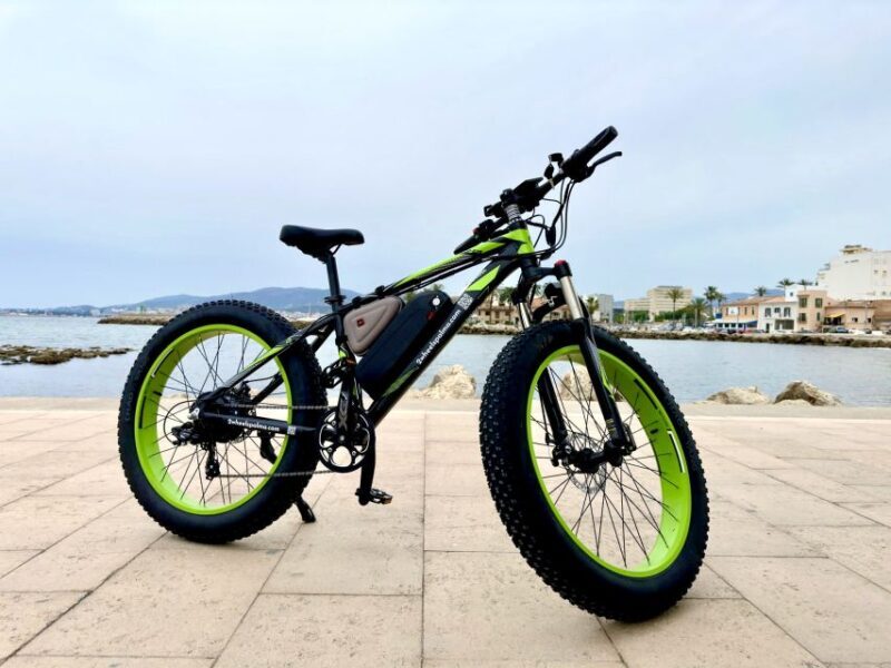 Palma: Guided City Tour with a Fat Tire E-Bike - A Detailed Breakdown of the Itinerary