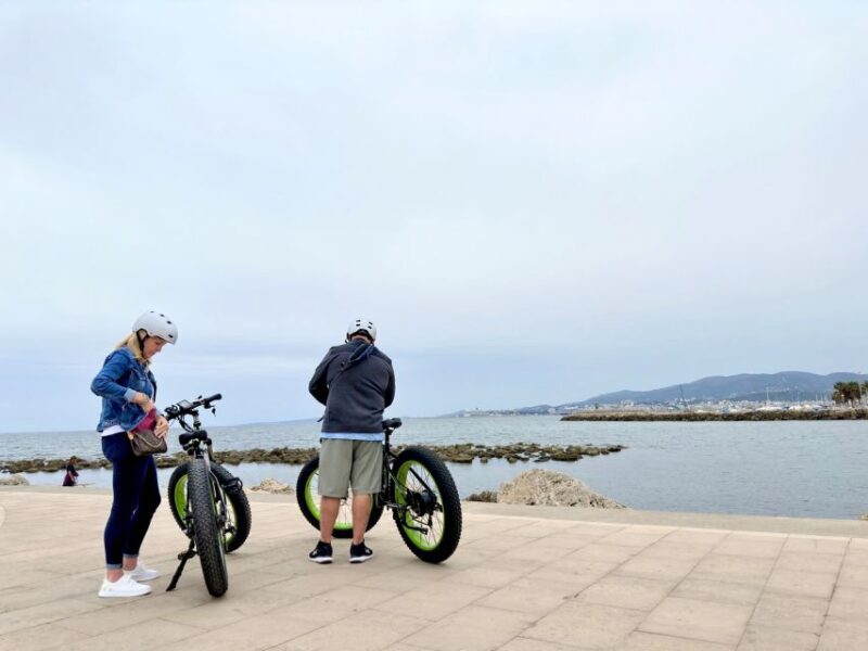 Palma: Guided City Tour with a Fat Tire E-Bike - Who Will Love This Tour?