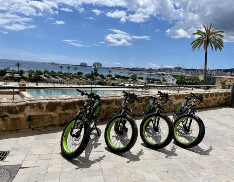 Palma: Guided City Tour with a Fat Tire E-Bike - FAQs