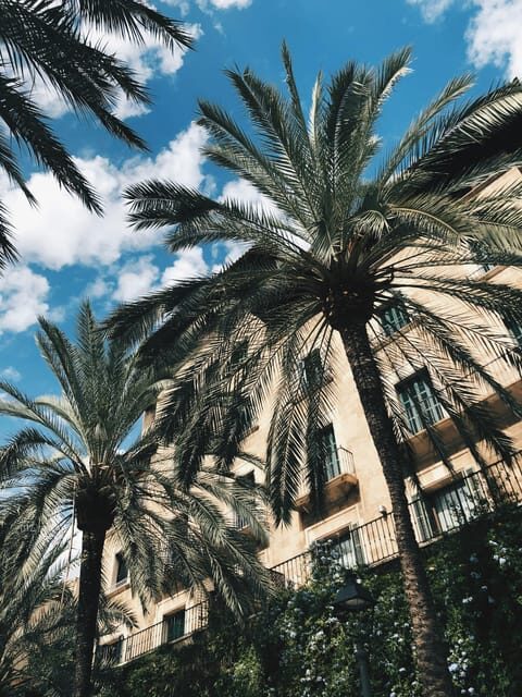 Palma: "History & Beauty" Eco-Friendly E-Scooter Tour - An In-Depth Look at the Experience