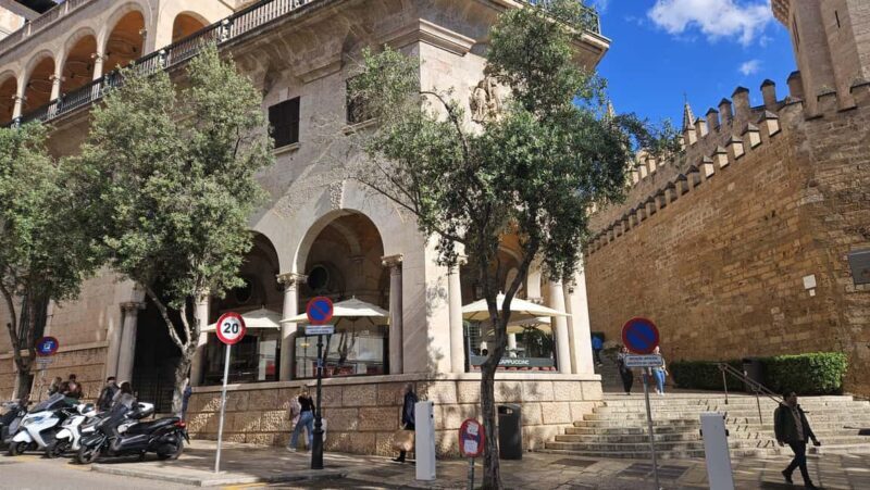 Palma: Old Town Guided Tour with Cathedral Skip-the-Line - Who Will Love This Tour?