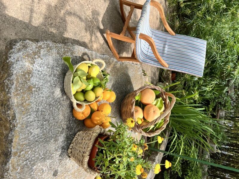 Palma: Orange Farm, Olive Mill, & Winery Tour with Tastings - Key Points