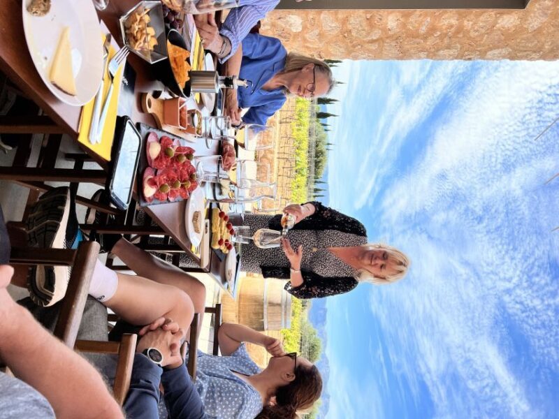 Palma: Orange Farm, Olive Mill, & Winery Tour with Tastings - What Makes This Tour Stand Out?