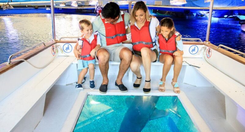 Palma: Palma Aquarium Ticket with Transfer Service - Introduction