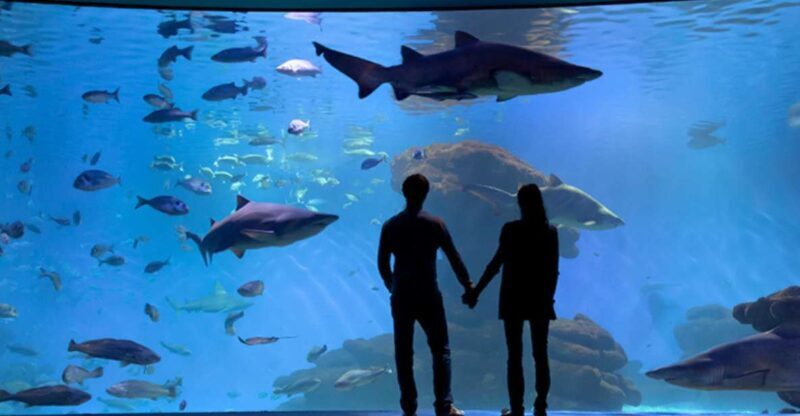 Palma: Palma Aquarium Ticket with Transfer Service - Detailed Breakdown of the Itinerary