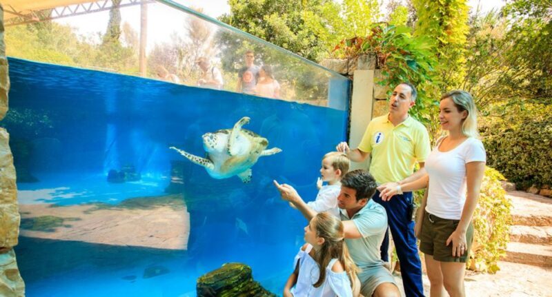 Palma: Palma Aquarium Ticket with Transfer Service - FAQ