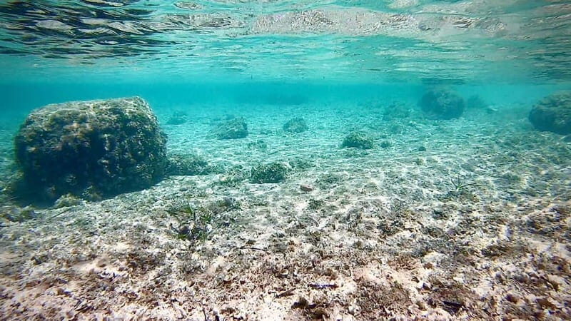 Palma: Private Boat Tour in Mallorca with Snorkel and Paddle - The Sum Up