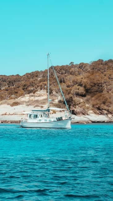 Palma: Private Motor Sailing Cruise on delux Mallorcan Llaut - Who Is This Tour Best For?