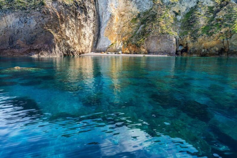 Palmarola: Linea isola di Palmarola - Authentic Marine Experience: What Really Sets It Apart